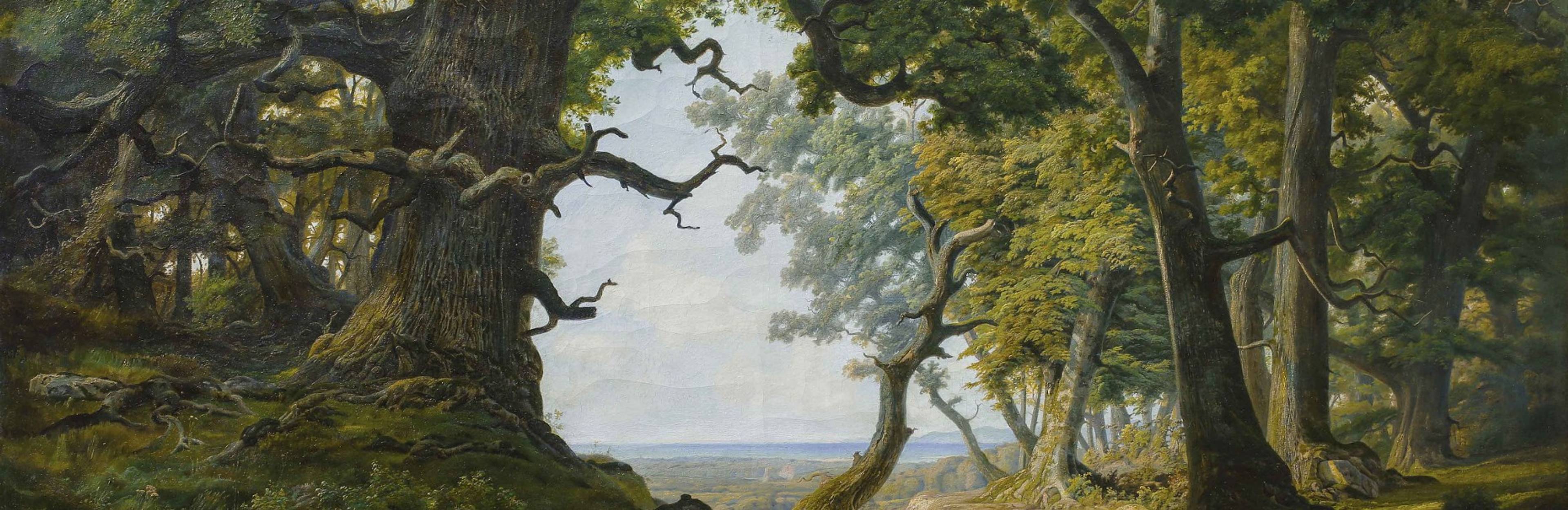 Výstavy | Kooperativa pojišťovna