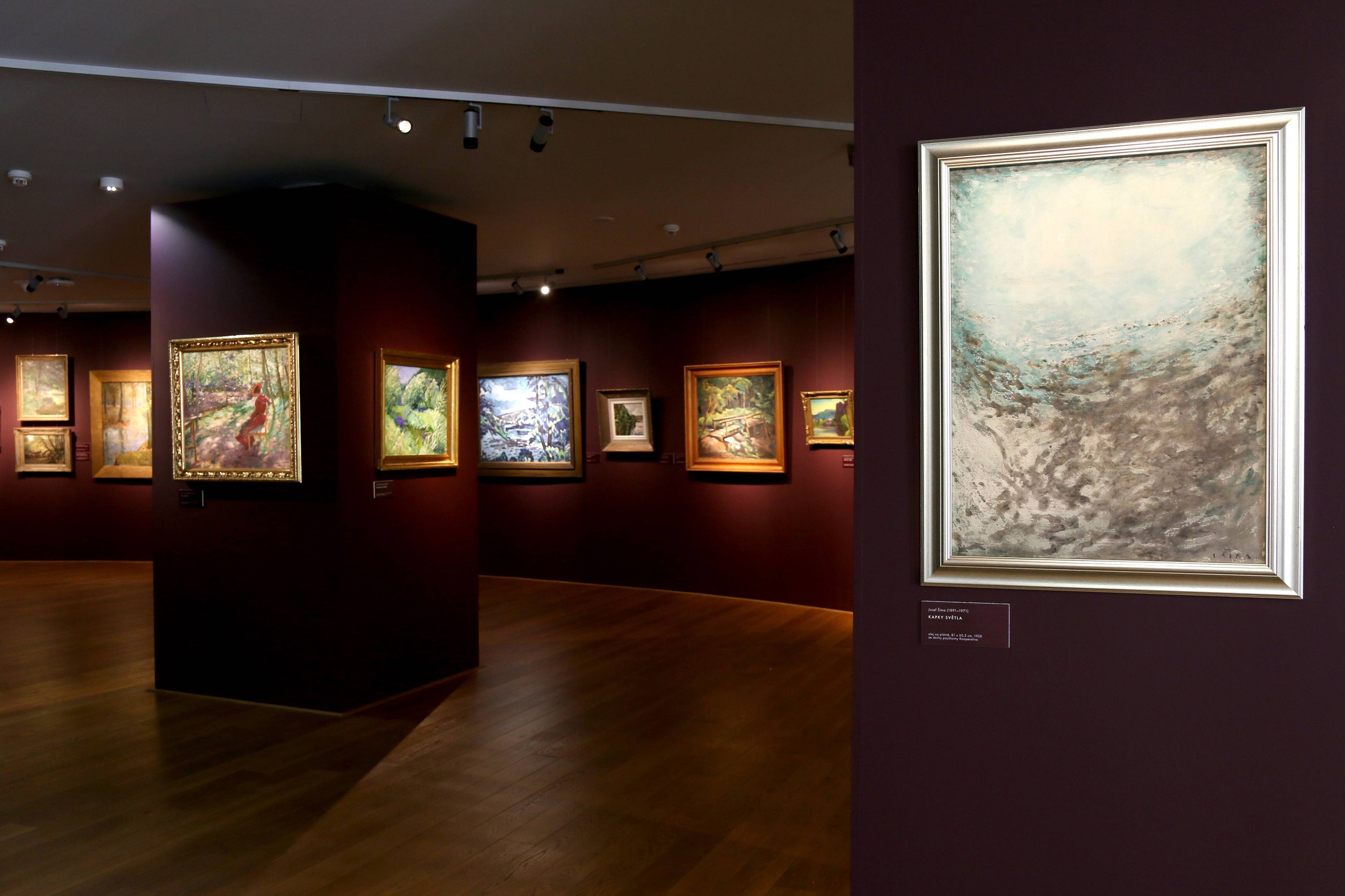 Výstava Kruhy na vodě | Kooperativa pojišťovna